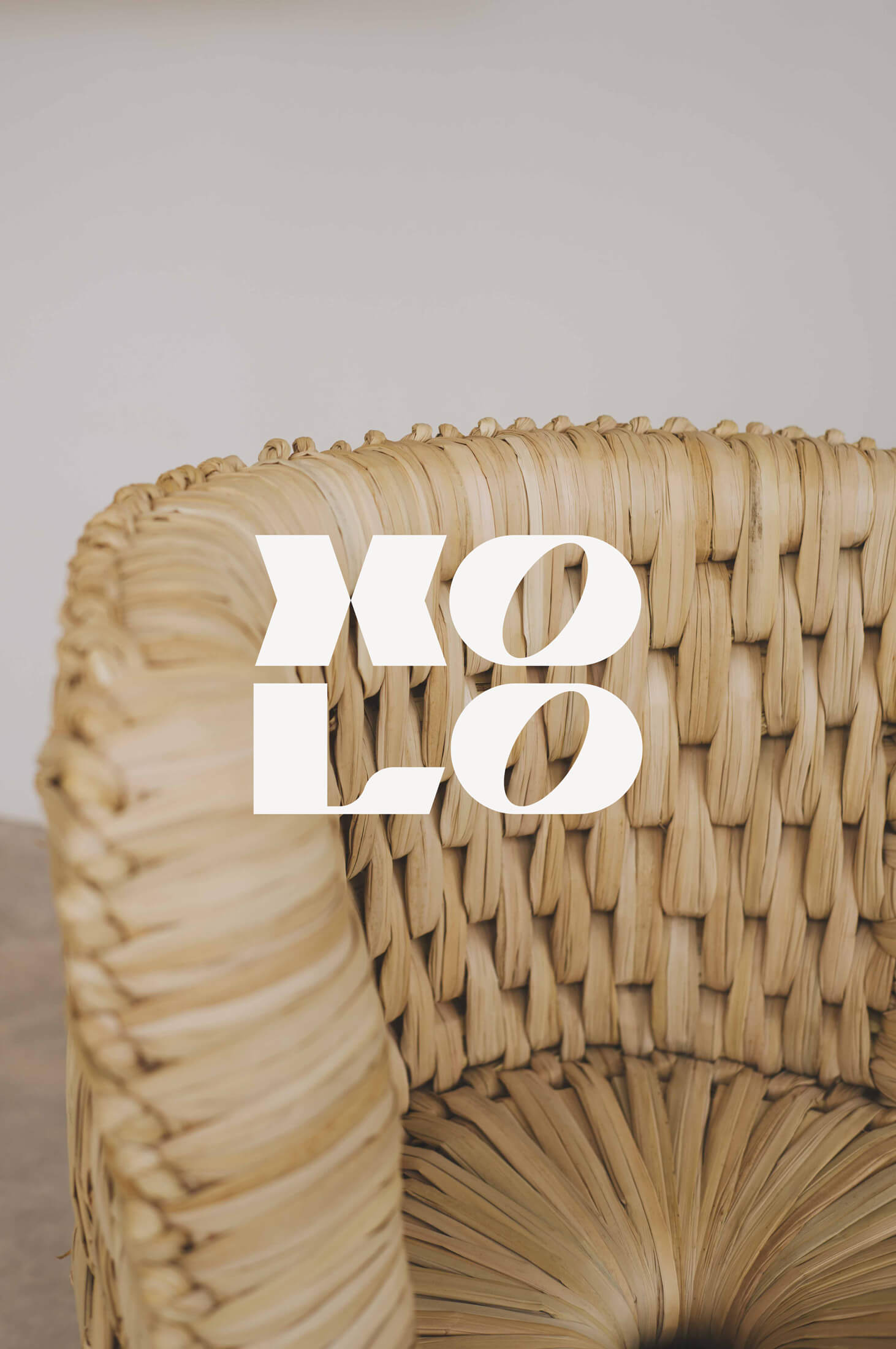 Xolo Stays – Xolo will be your guide